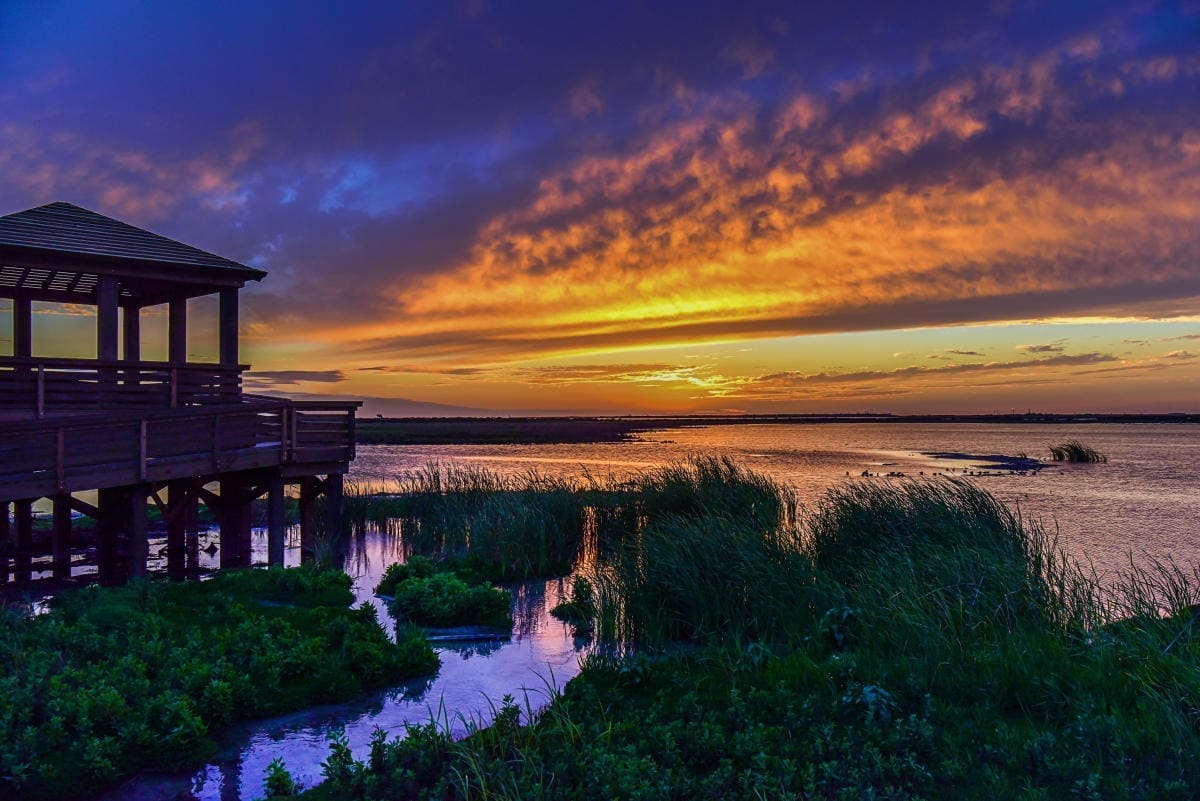 Gulf Waters RV: Your Unique Beachfront RV Experience